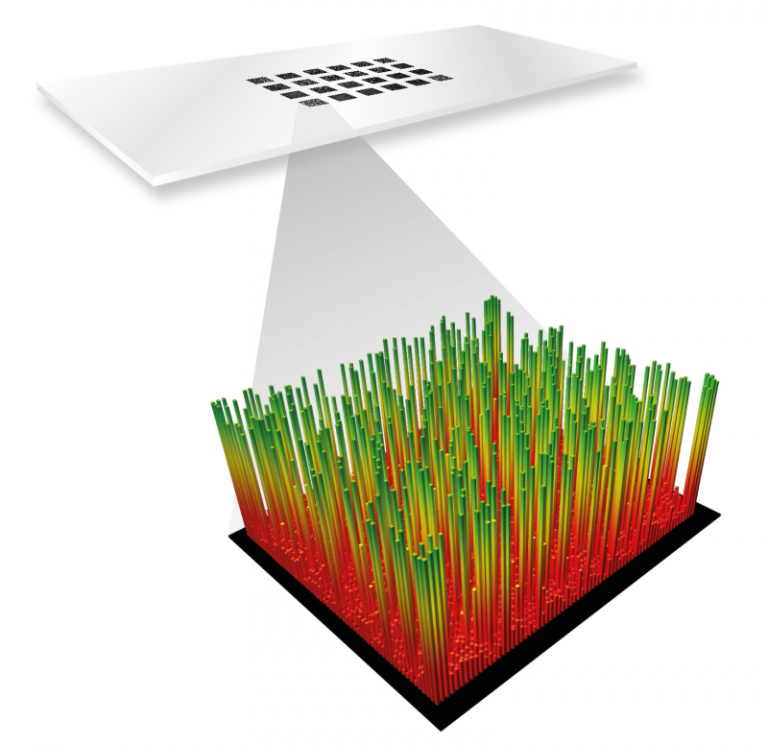 HD-Peptide Microarray synthesis - Schafer - N