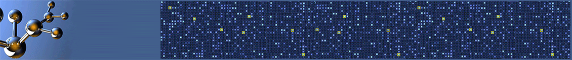 Towards High-throughput Immunomics for Infectious Diseases - Schafer - N